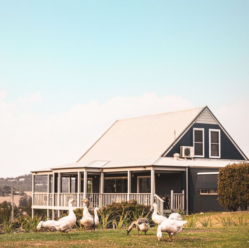 Cheese And Wine Tasting in Hunter Valley - Ivanhoe Wines