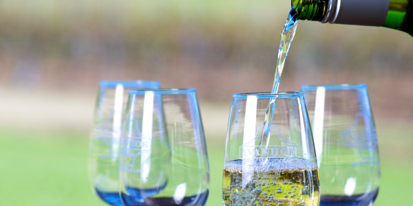 Ivanhoe Wines | Hunter Valley Winery | Premium Hunter Wine